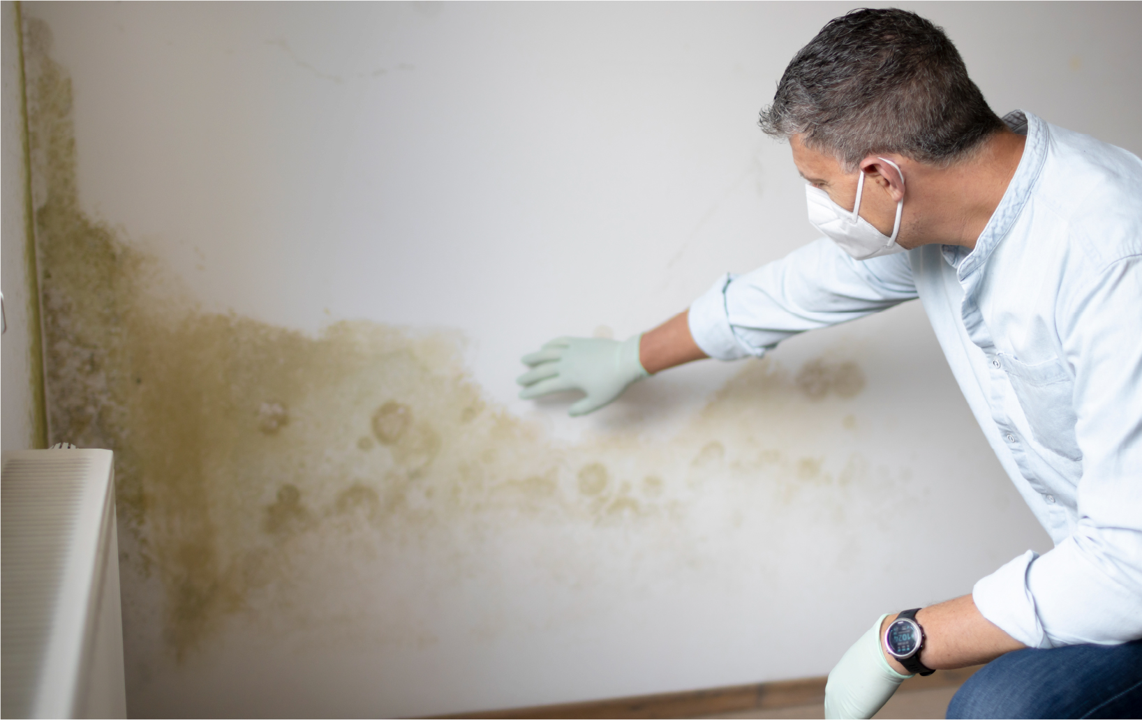 Damp & Mould | Social Housing | Property Tectonics